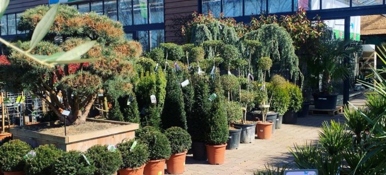 Home – Intratuin Halsteren